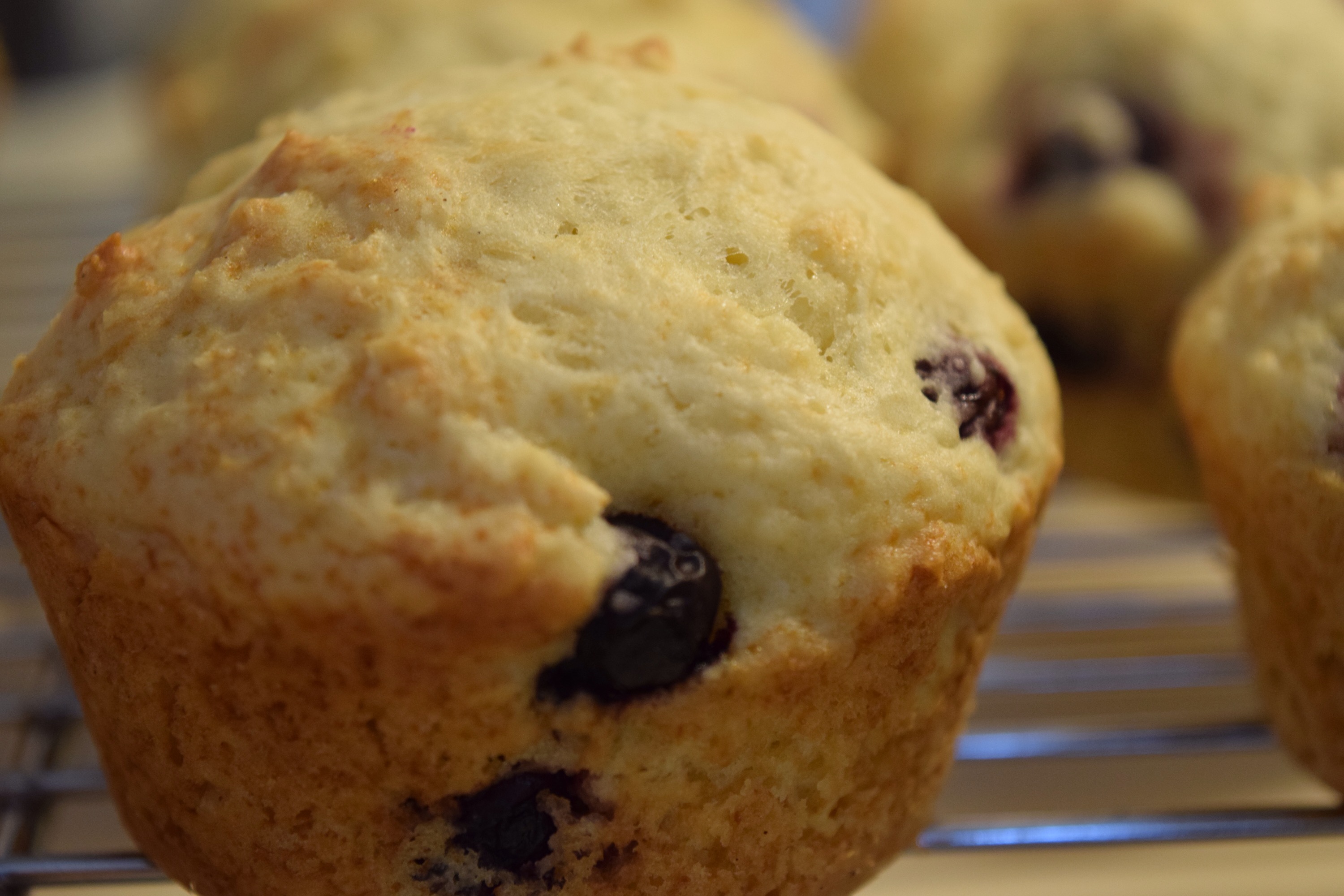 Saskatoon Muffins – Two Ways – Everyday Cheer