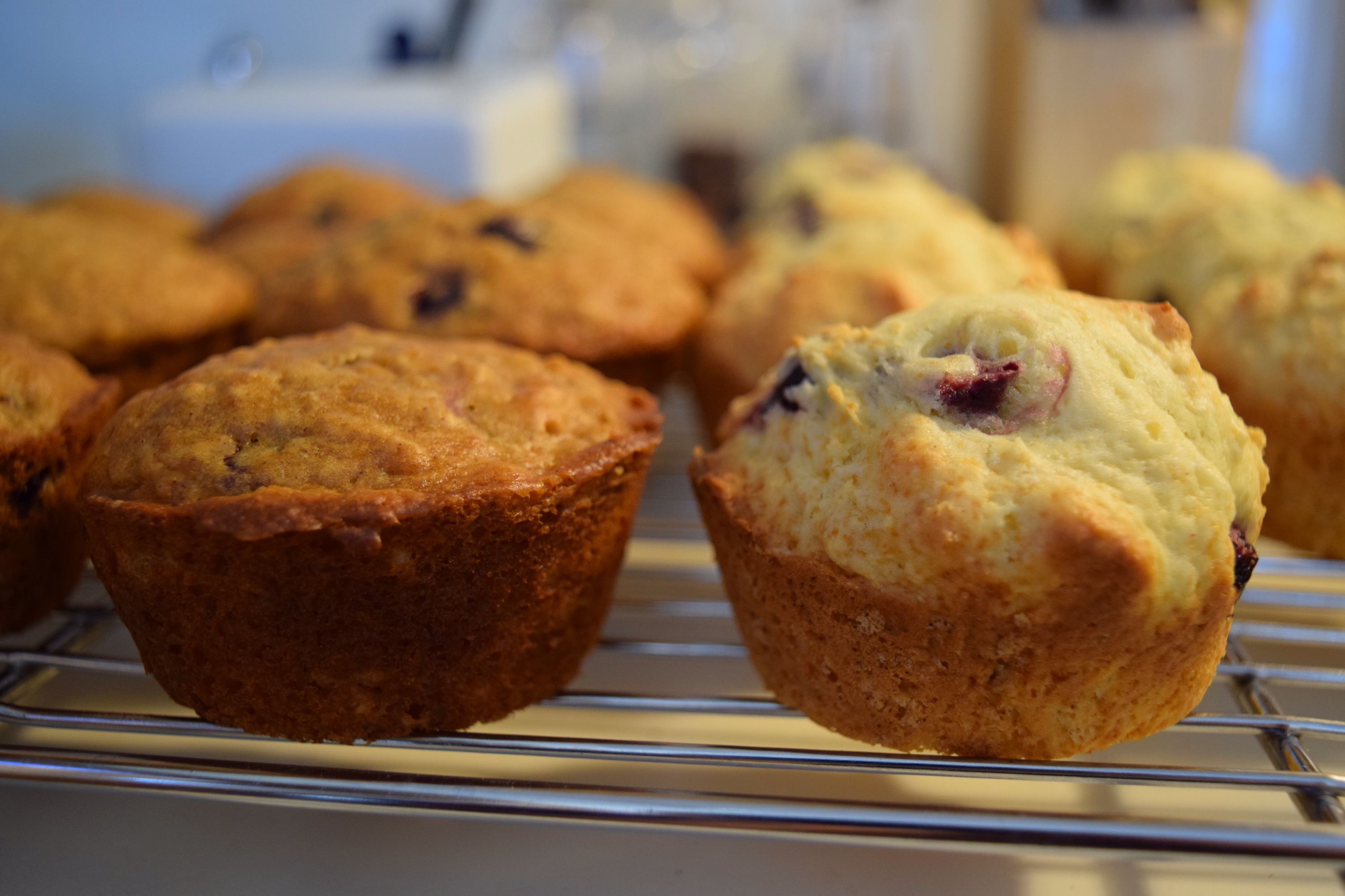 Saskatoon Muffins – Two Ways – Everyday Cheer