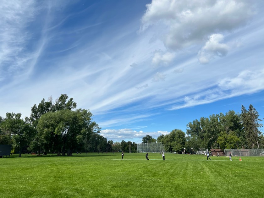 Riley Park and Patrick Burns Memorial Rock Garden – Everyday Cheer
