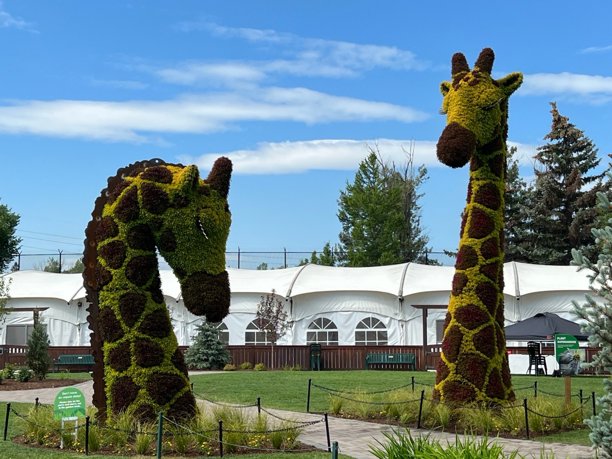 WildScapes at the Calgary Zoo – Everyday Cheer