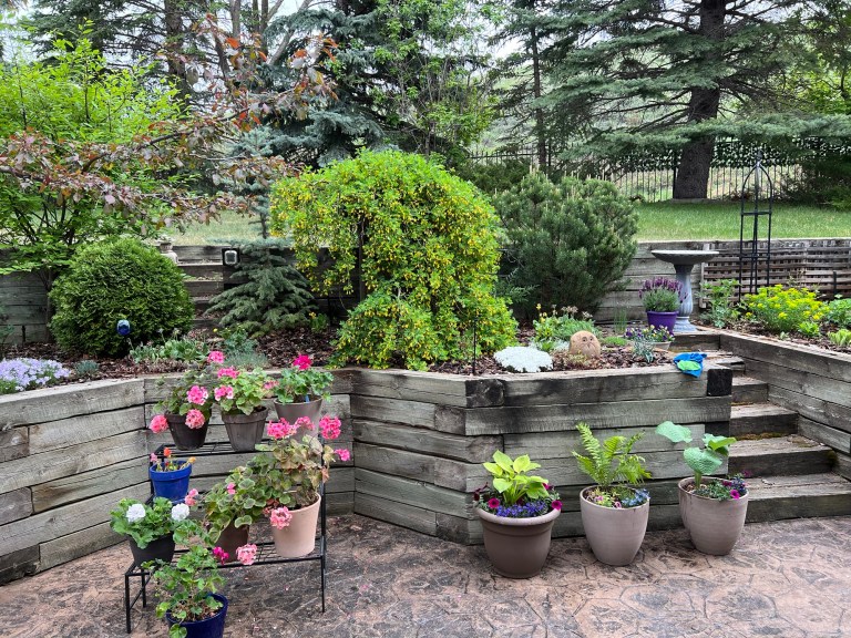 Early Spring – Everyday Cheer